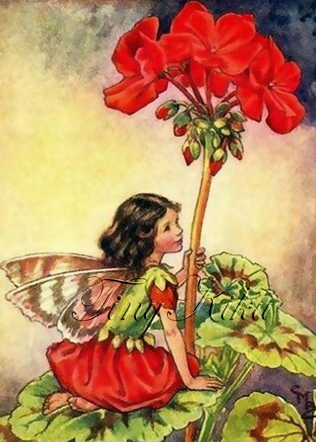 Solve GERANIUM FAIRY, Vintage Art Print jigsaw puzzle online with 108 ...