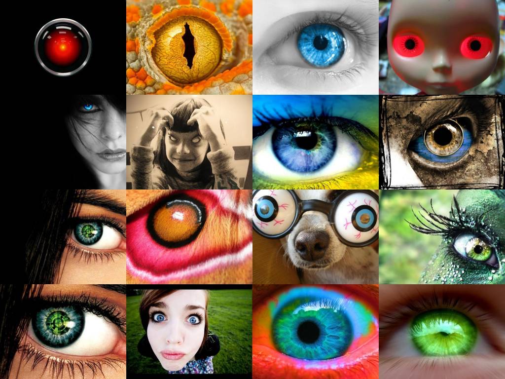 Solve The Eyes Have It jigsaw puzzle online with 154 pieces