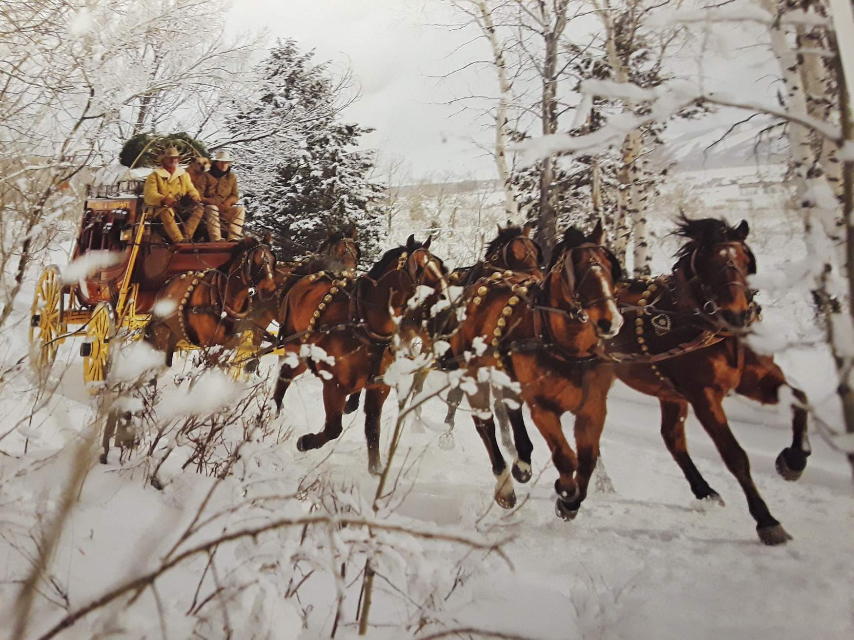 Solve Wells Fargo Stagecoach and six horses. jigsaw puzzle online with ...