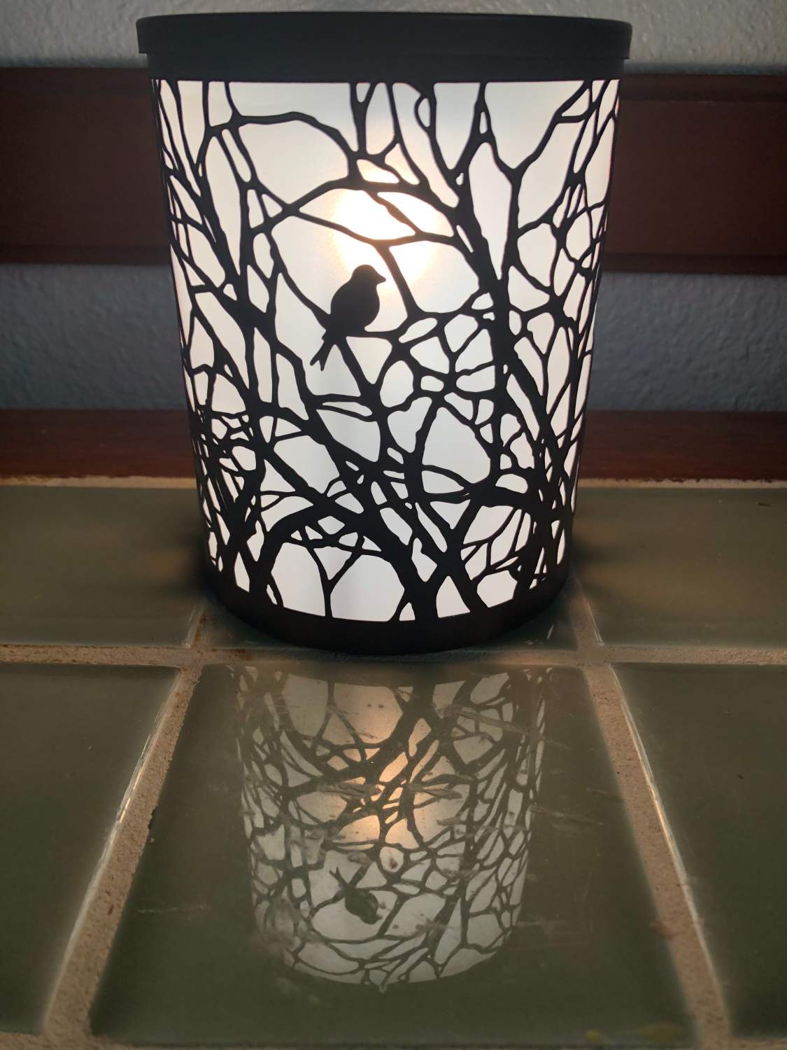 Solve Light & Reflection jigsaw puzzle online with 204 pieces