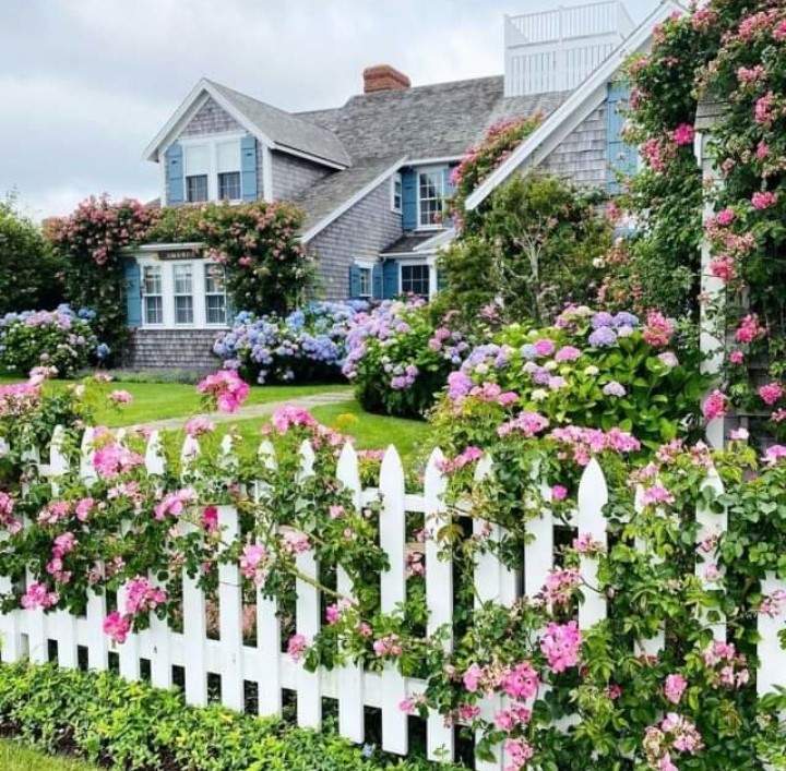 Solve Lovely Garden jigsaw puzzle online with 81 pieces