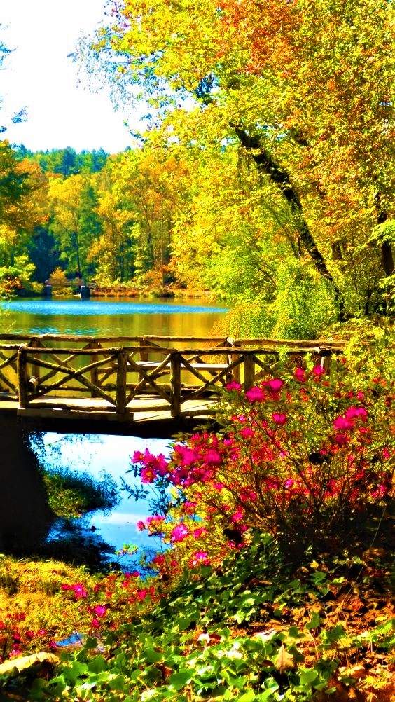 Solve Fall jigsaw puzzle online with 60 pieces