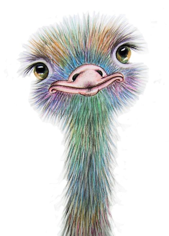 Solve Friendly ostrich jigsaw puzzle online with 24 pieces