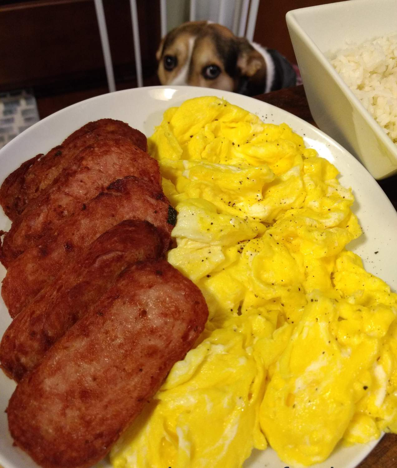 Solve May is National Eggs Month - Here are Spam and Eggs, Watchfully ...
