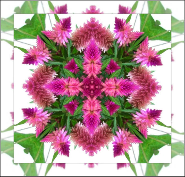 Solve Pro lyella, For lyella jigsaw puzzle online with 16 pieces