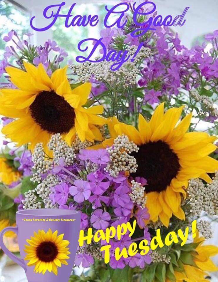 Solve Good Morning - Happy Tuesday! jigsaw puzzle online with 63 pieces