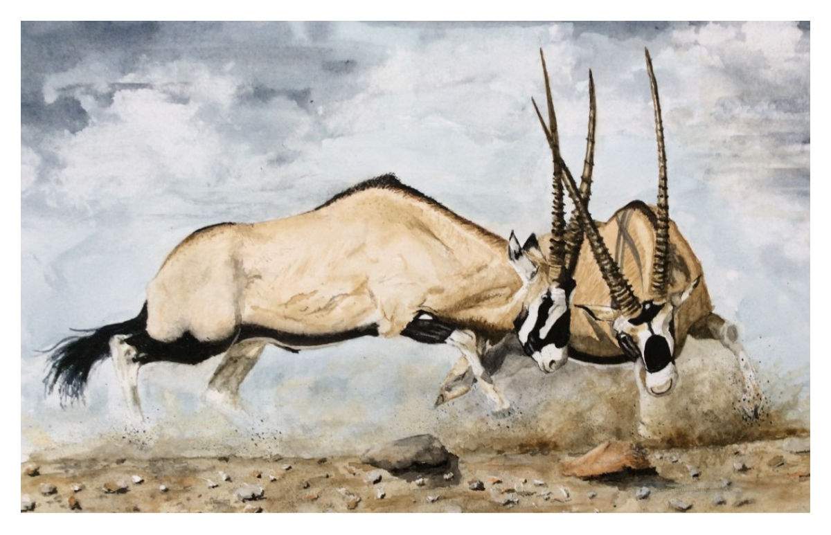 Solve Disputing Oryx jigsaw puzzle online with 160 pieces