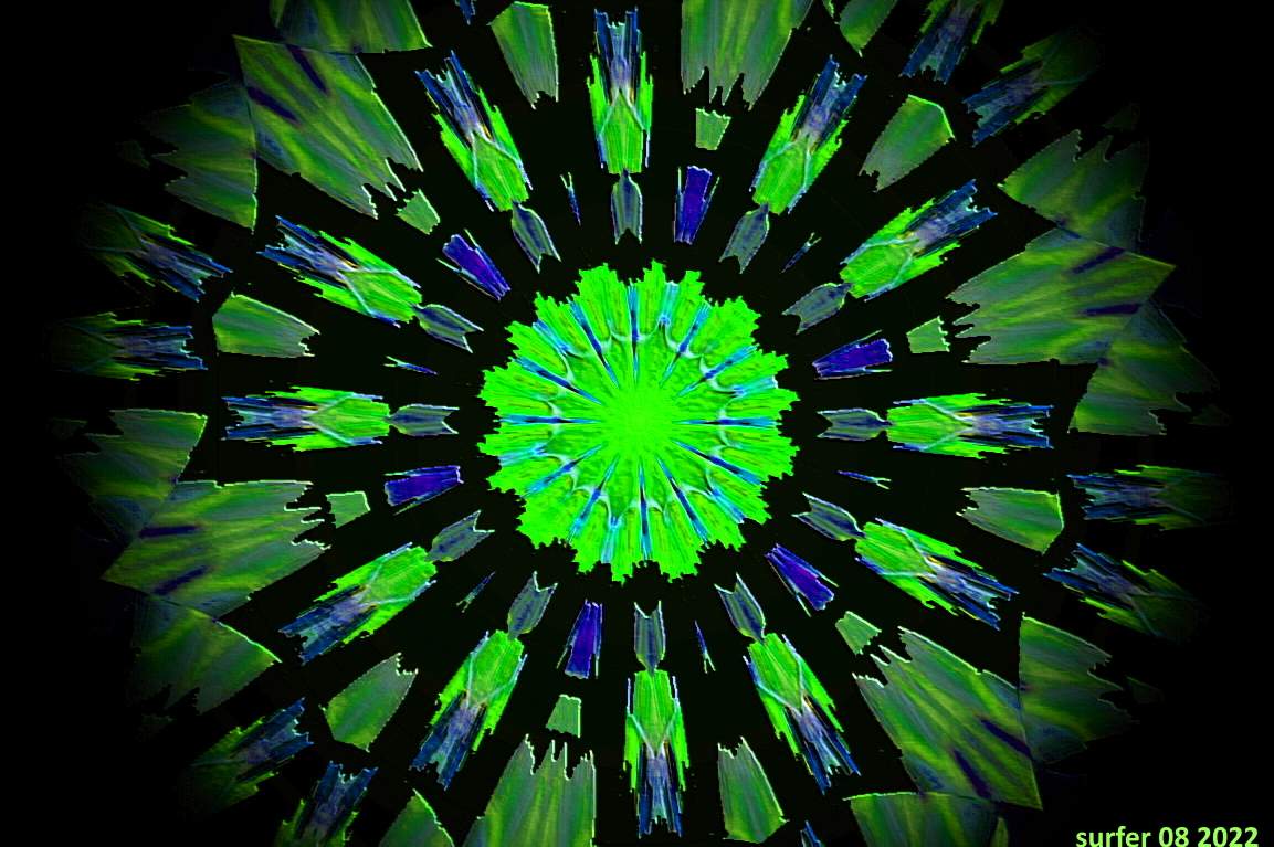Solve Lime jigsaw puzzle online with 24 pieces