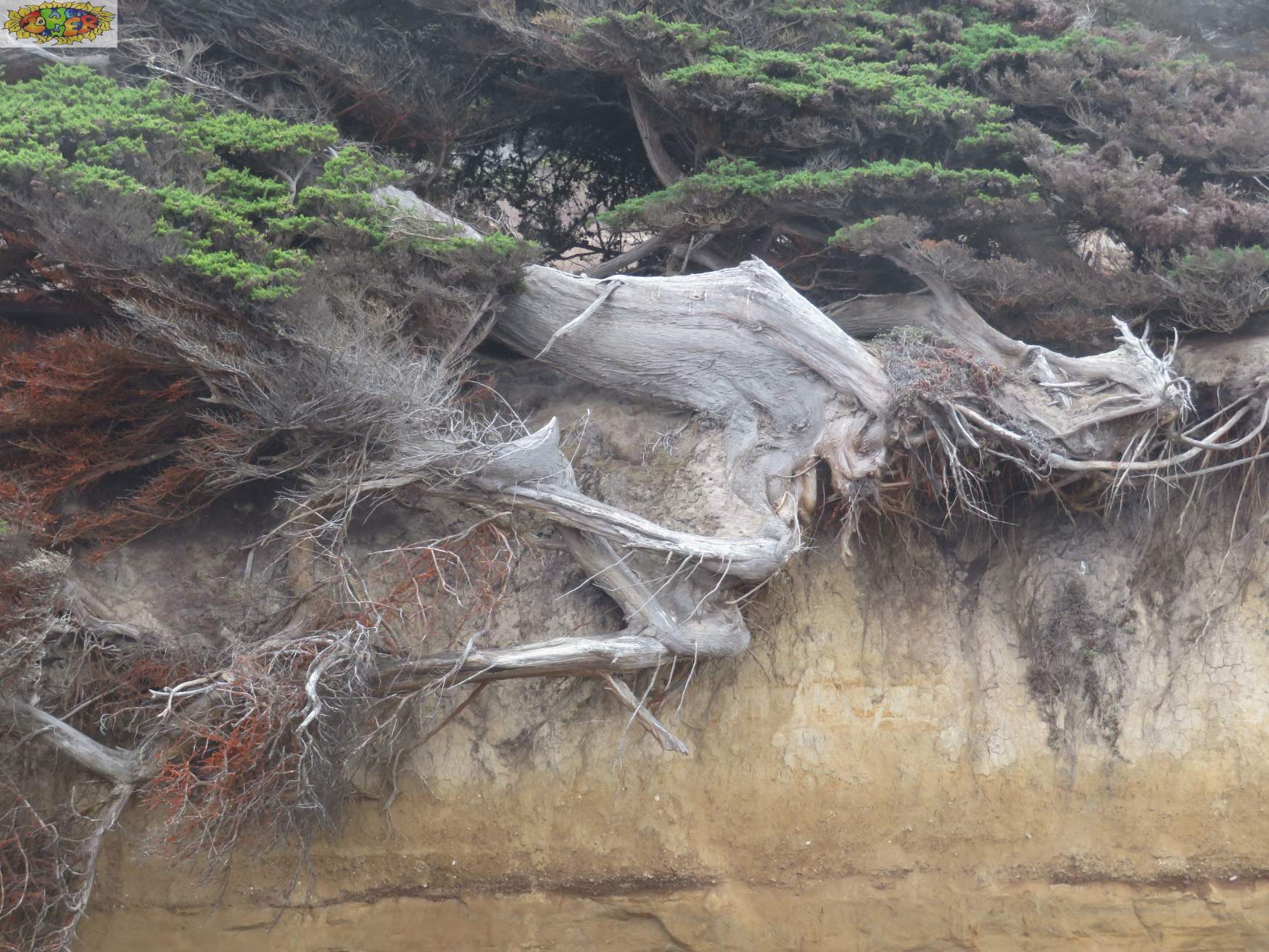 Solve Life on the Edge jigsaw puzzle online with 154 pieces