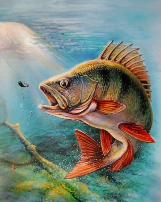 Solve Largemouth-bass-fish jigsaw puzzle online with 80 pieces
