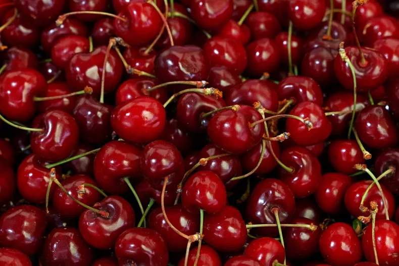 Solve Utah cherries jigsaw puzzle online with 96 pieces