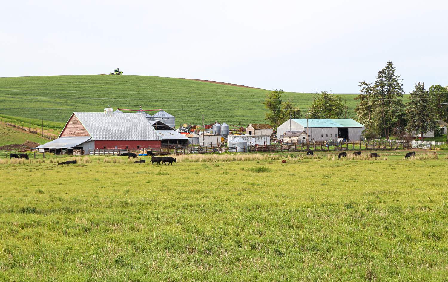 Solve FARM/RANCH jigsaw puzzle online with 77 pieces