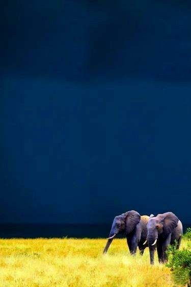 Solve blue sky jigsaw puzzle online with 40 pieces
