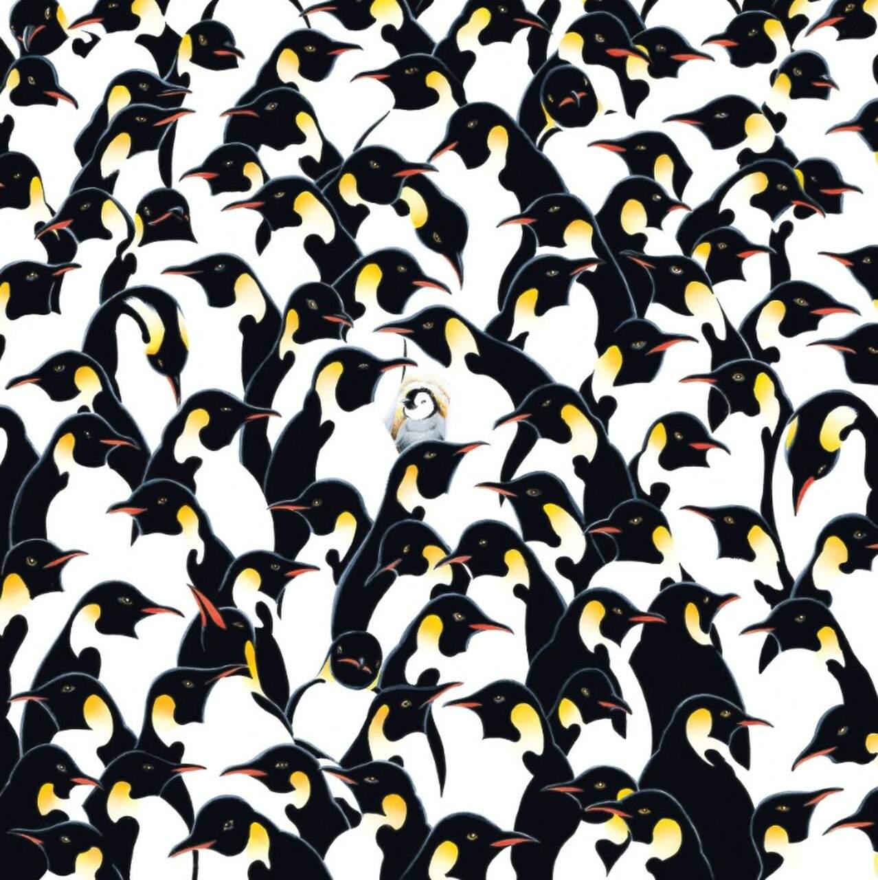 Solve Penguins jigsaw puzzle online with 196 pieces