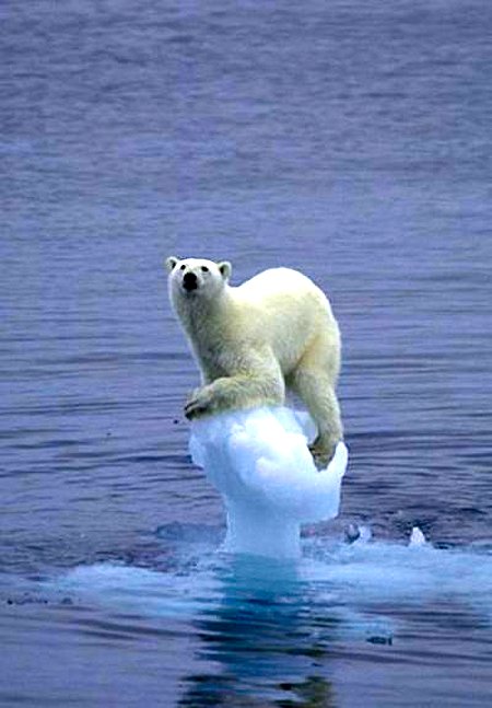 Solve Summer heat wave? jigsaw puzzle online with 24 pieces