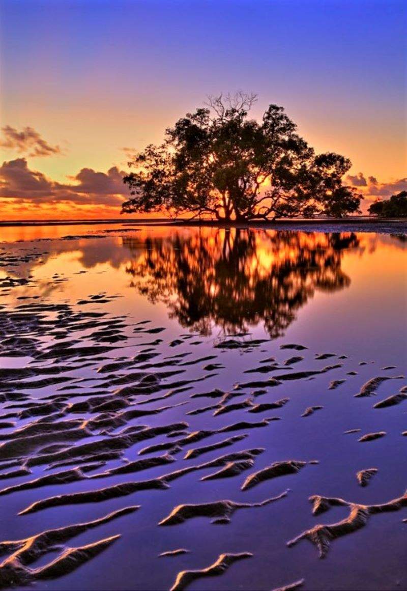 Solve Nudgee Beach, Queensland, Australia jigsaw puzzle online with 126 ...