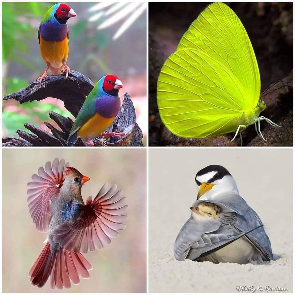 Solve Nature at it's best jigsaw puzzle online with 100 pieces