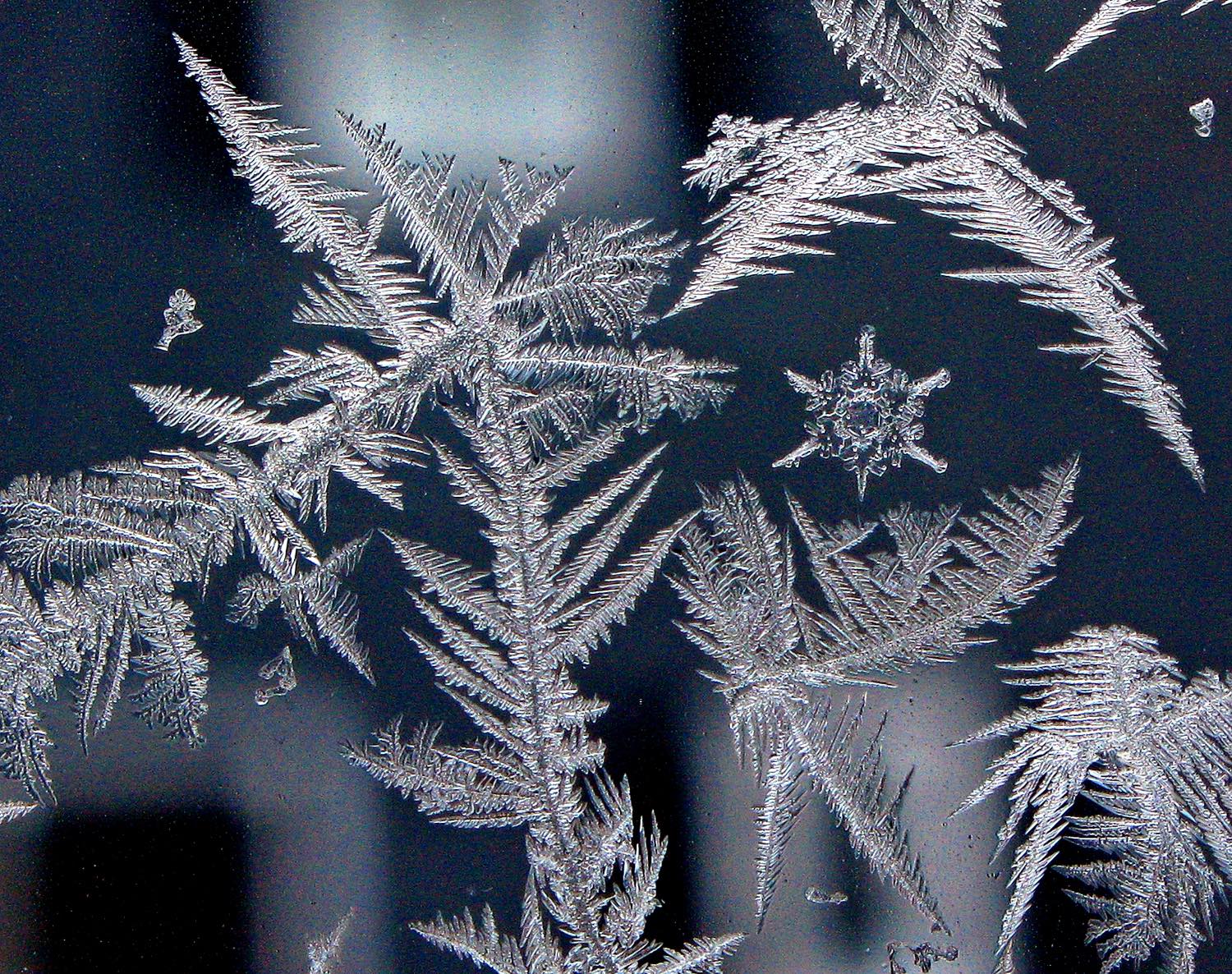 Solve Ice Crystals & Snowflake _2460 jigsaw puzzle online with 208 pieces