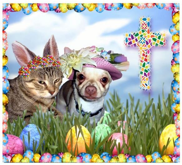 Solve Jigidi Chirp and Skip jigsaw puzzle online with 72 pieces