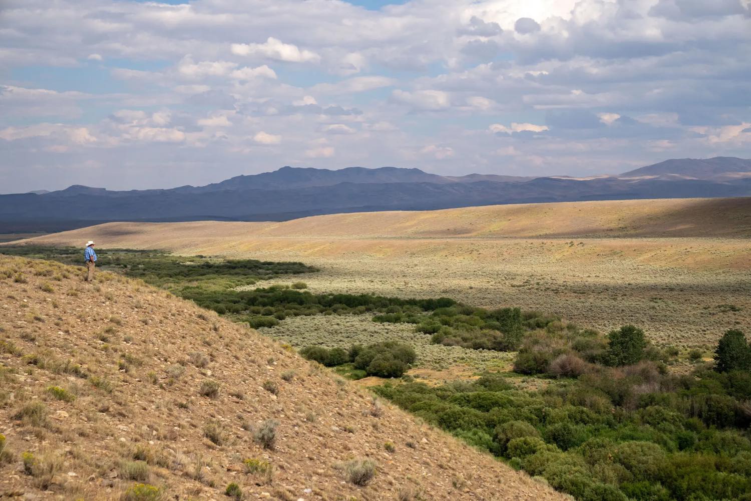 Solve Ranch jigsaw puzzle online with 70 pieces