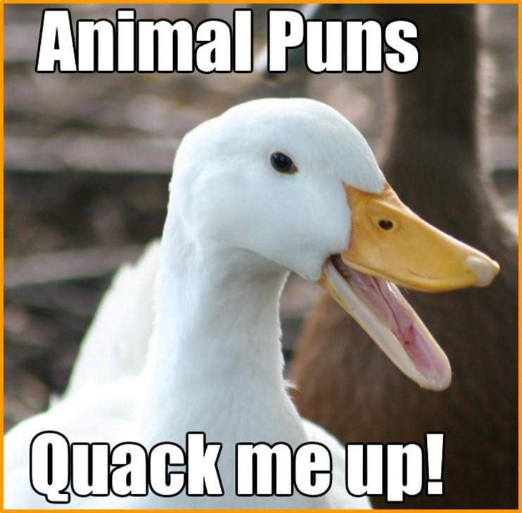 Solve A Veritable Pun Festival jigsaw puzzle online with 25 pieces