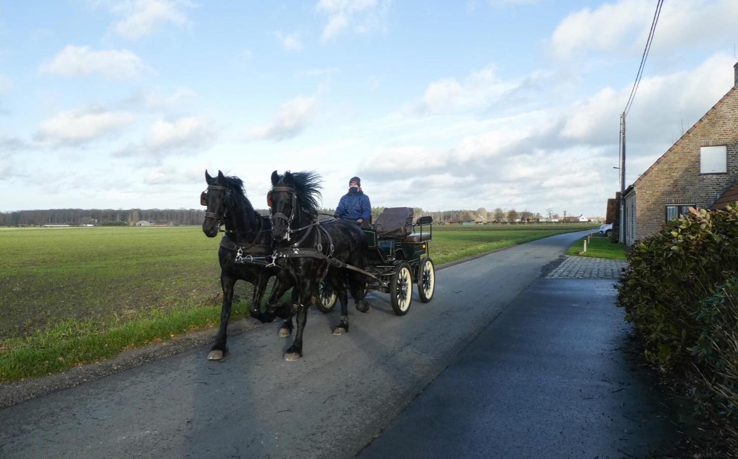 Solve friese paarden en koets jigsaw puzzle online with 84 pieces