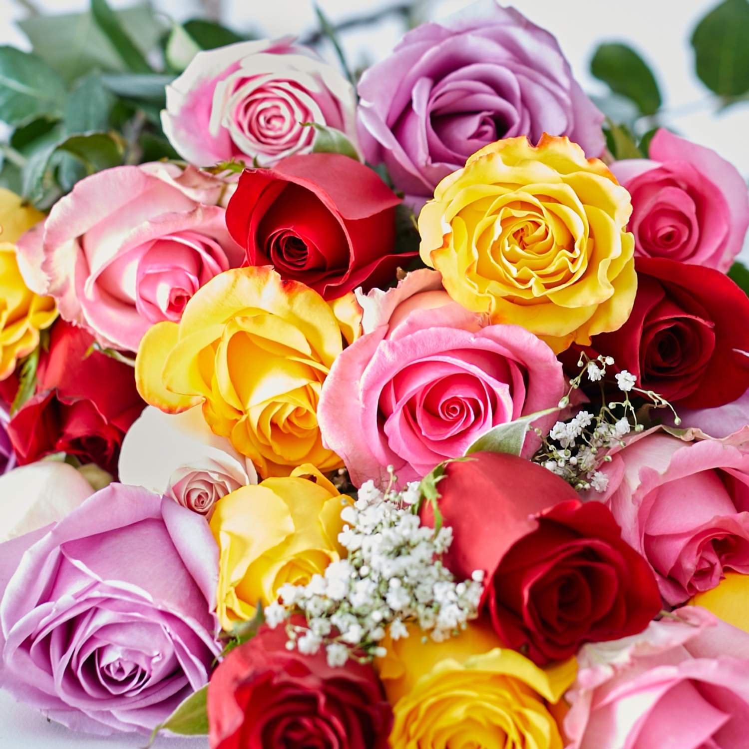 Jigsaw Puzzle | flowers | 600 pieces | Jigidi