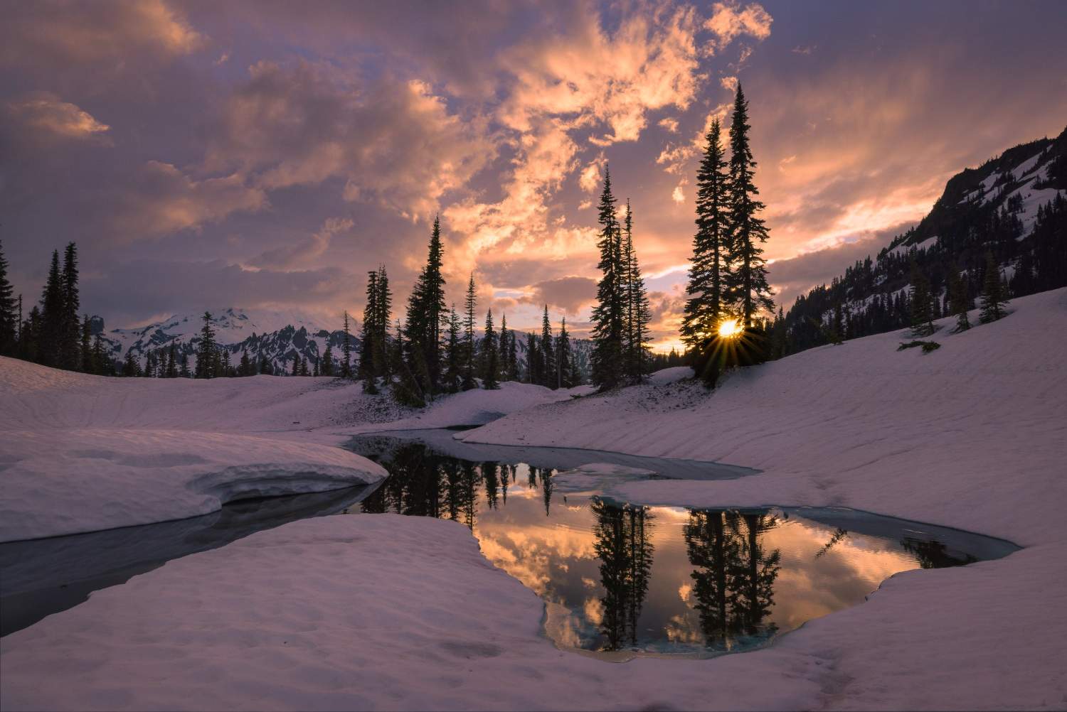 Solve Partly sunny with a chance of summer jigsaw puzzle online with 77 ...