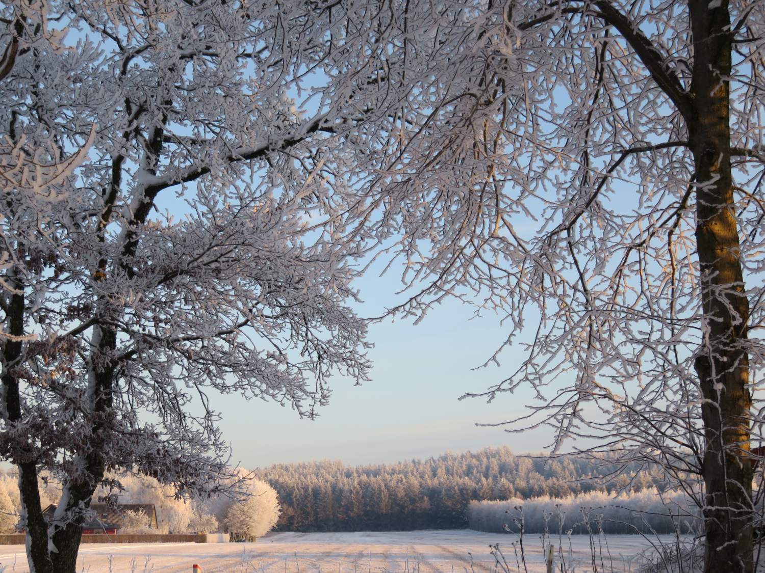 Solve IMG_0072 jigsaw puzzle online with 48 pieces