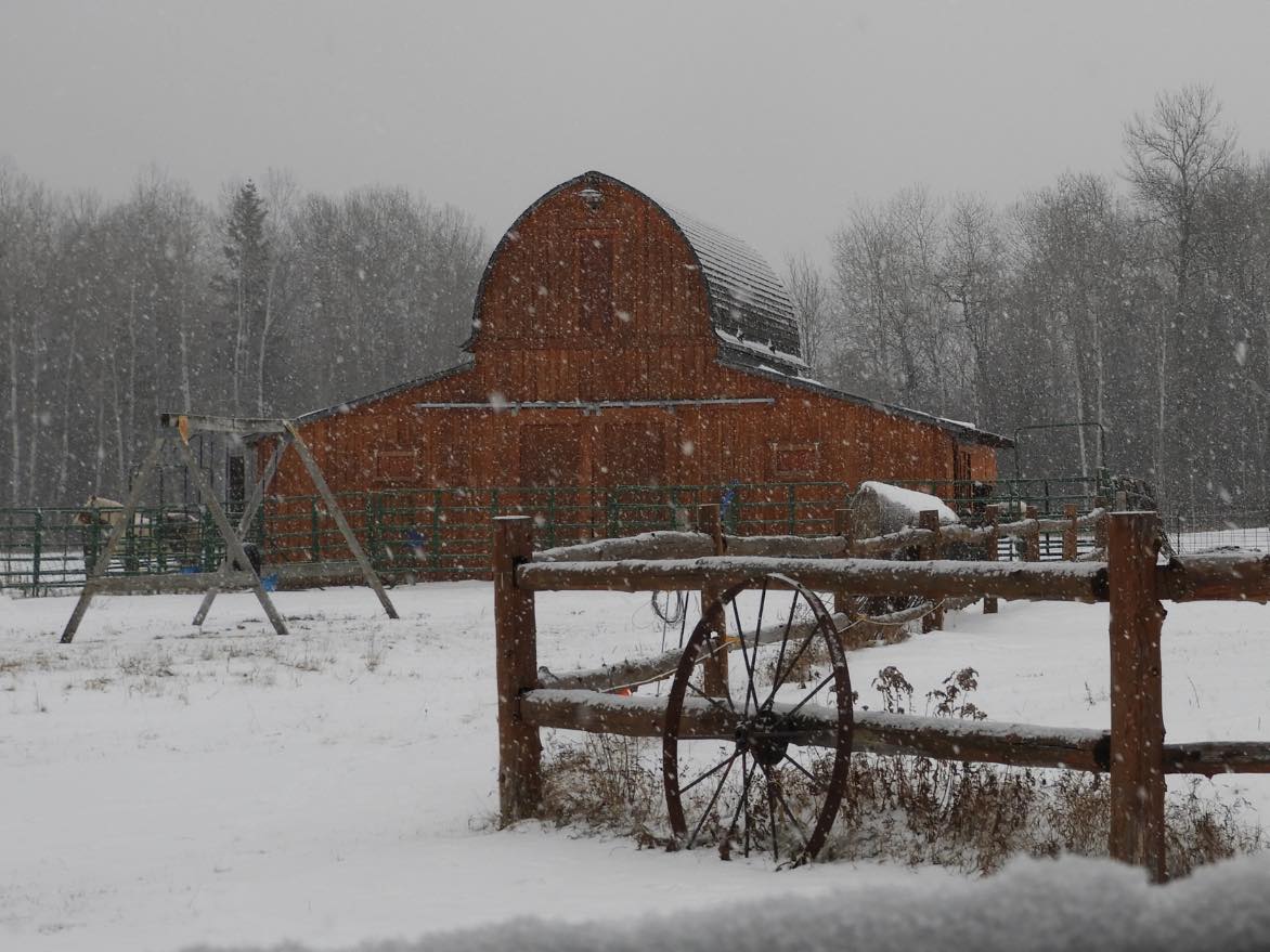 Solve My favorite barn -- in a snowstorm jigsaw puzzle online with 20 ...