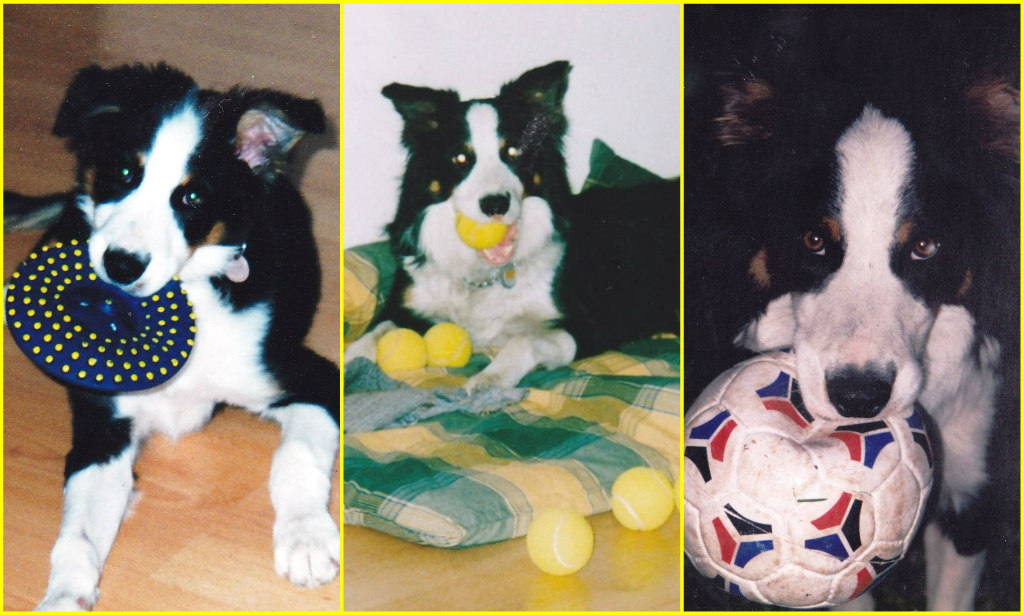 Solve Theme: round and oval things :) jigsaw puzzle online with 40 pieces