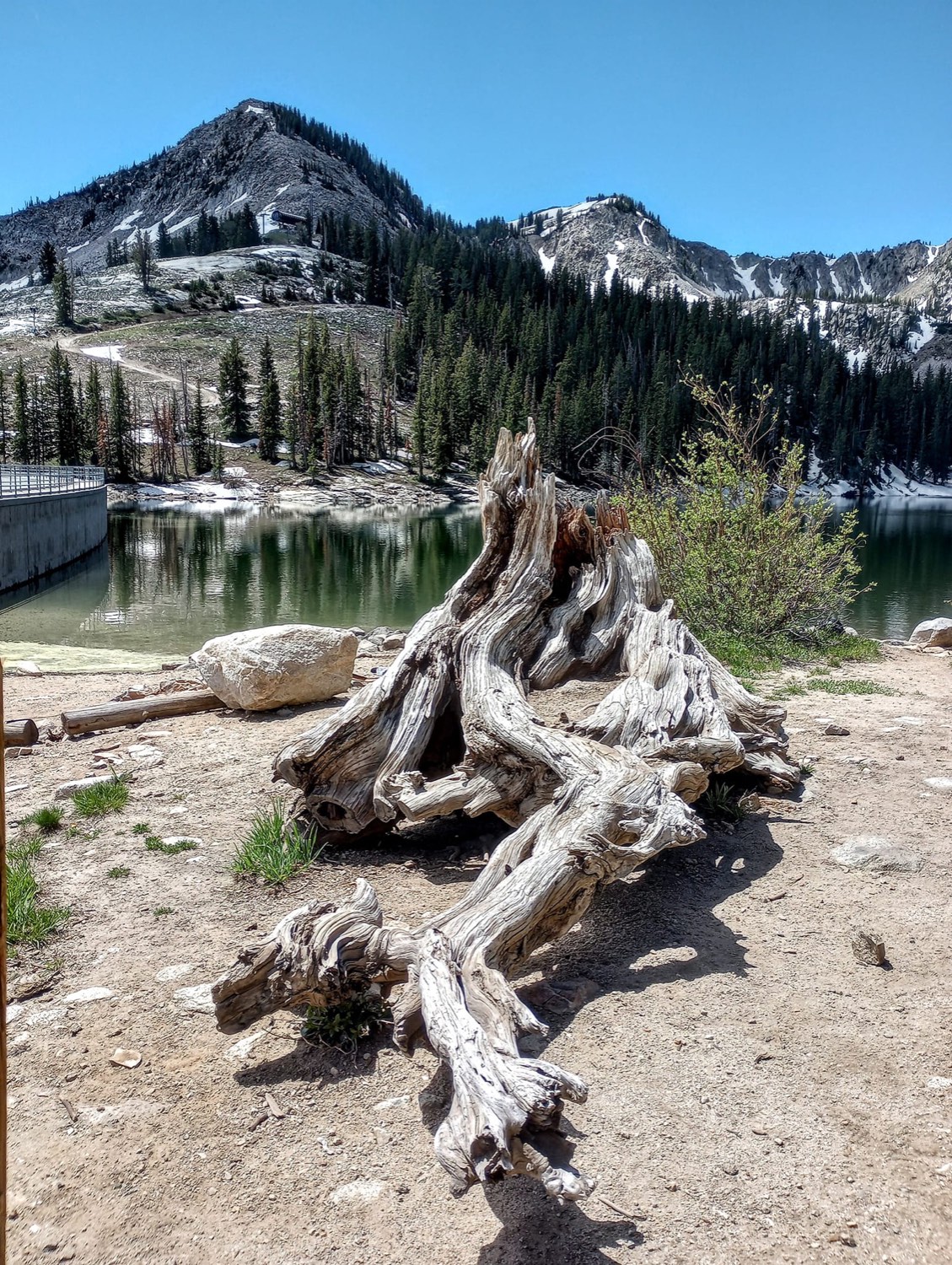 Solve 5F8D46DA-979E-4D72-A646-0E8E2DE2A662 jigsaw puzzle online with ...