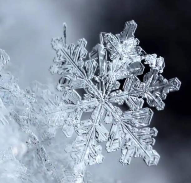 Solve Snowflake jigsaw puzzle online with 36 pieces
