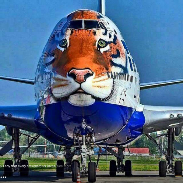 Solve Flying Tiger jigsaw puzzle online with 9 pieces