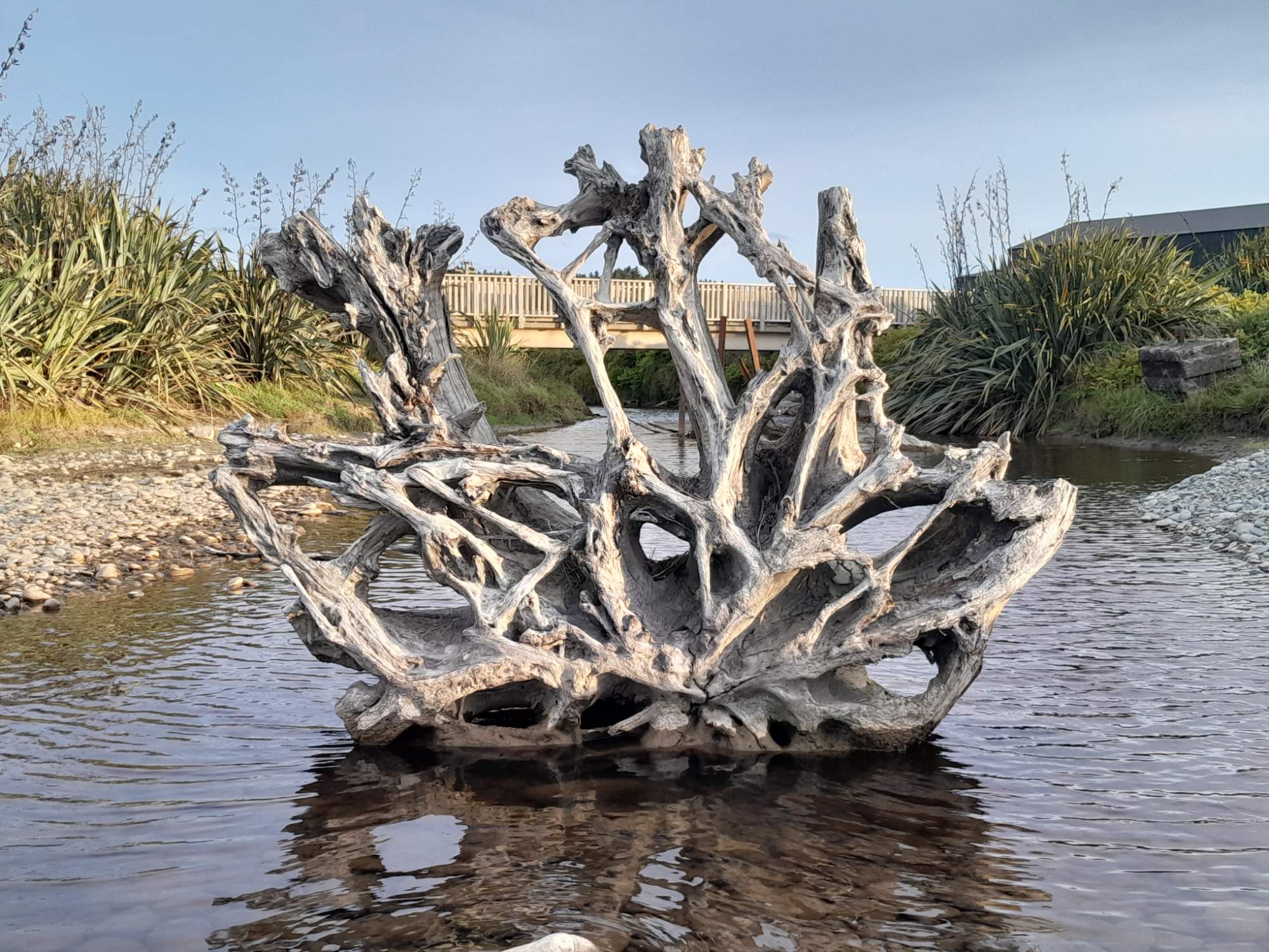 Jigsaw Puzzle | Tree root driftwood | 396 pieces | Jigidi