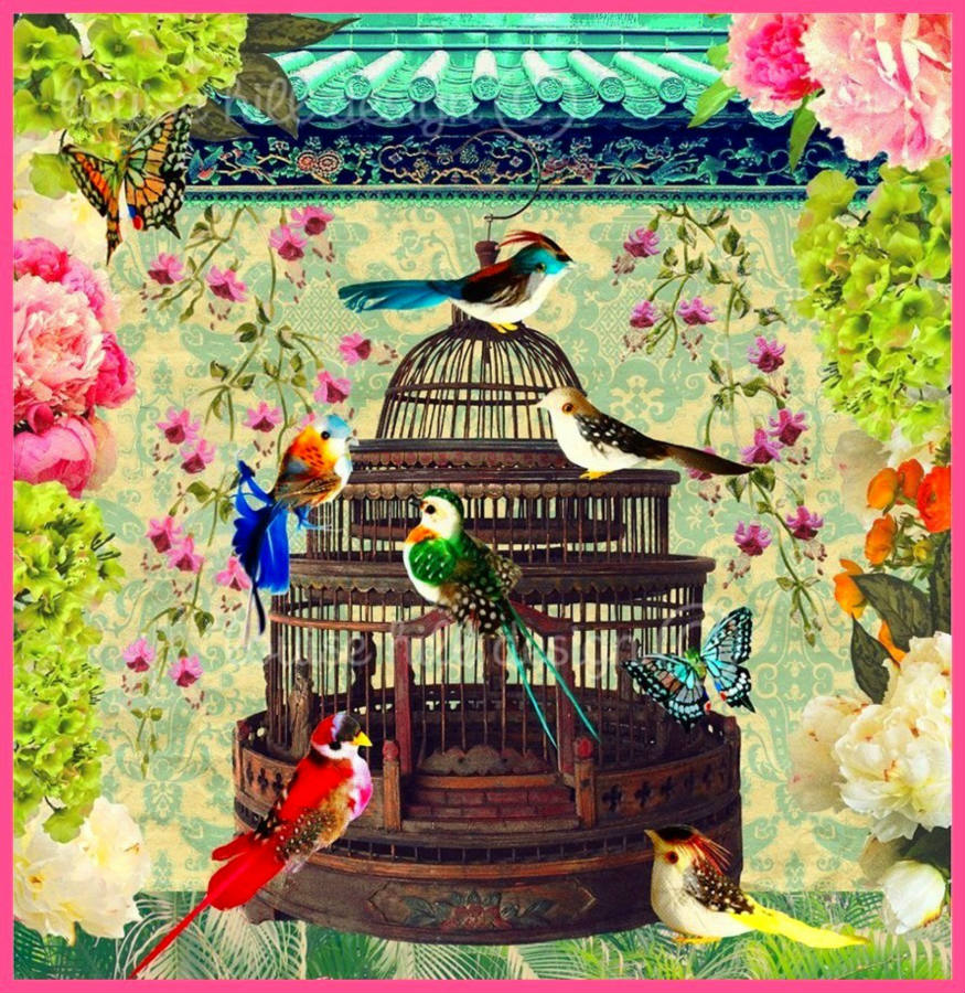 Solve Hong Kong Bird and Flower Market jigsaw puzzle online with 81 pieces