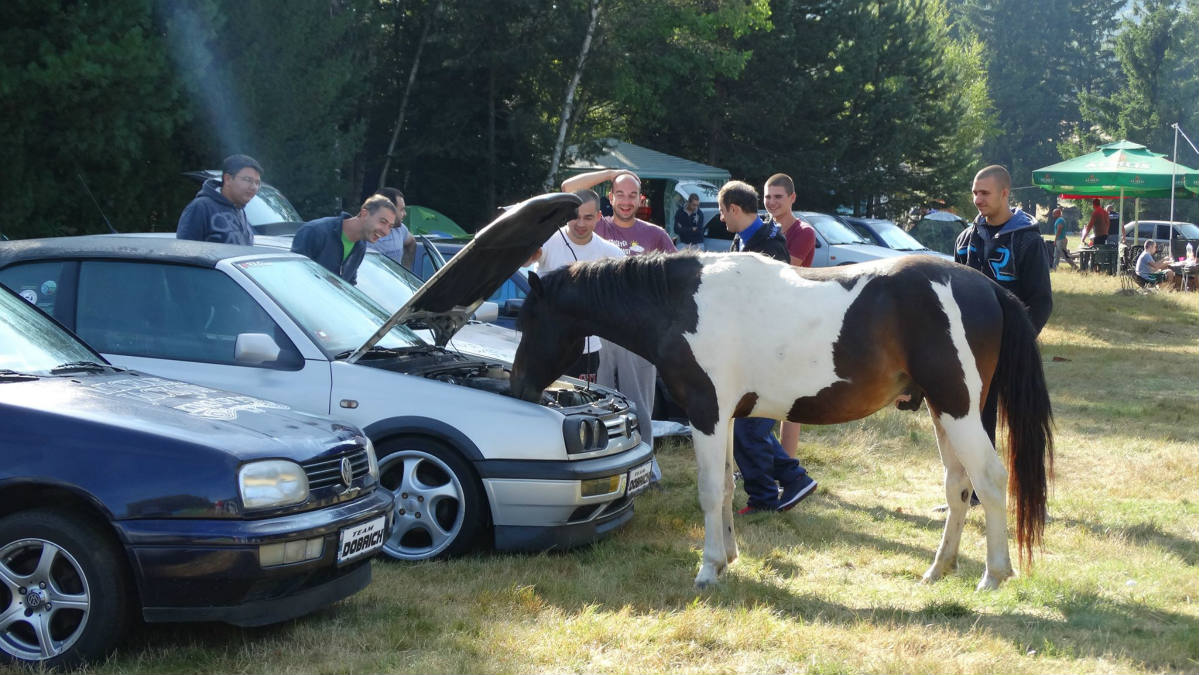 Solve vw cabbi jigsaw puzzle online with 84 pieces