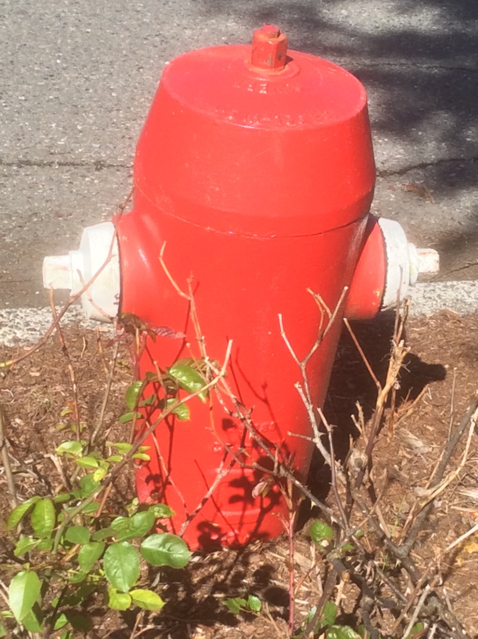 Solve Red Fire Hydrant jigsaw puzzle online with 70 pieces