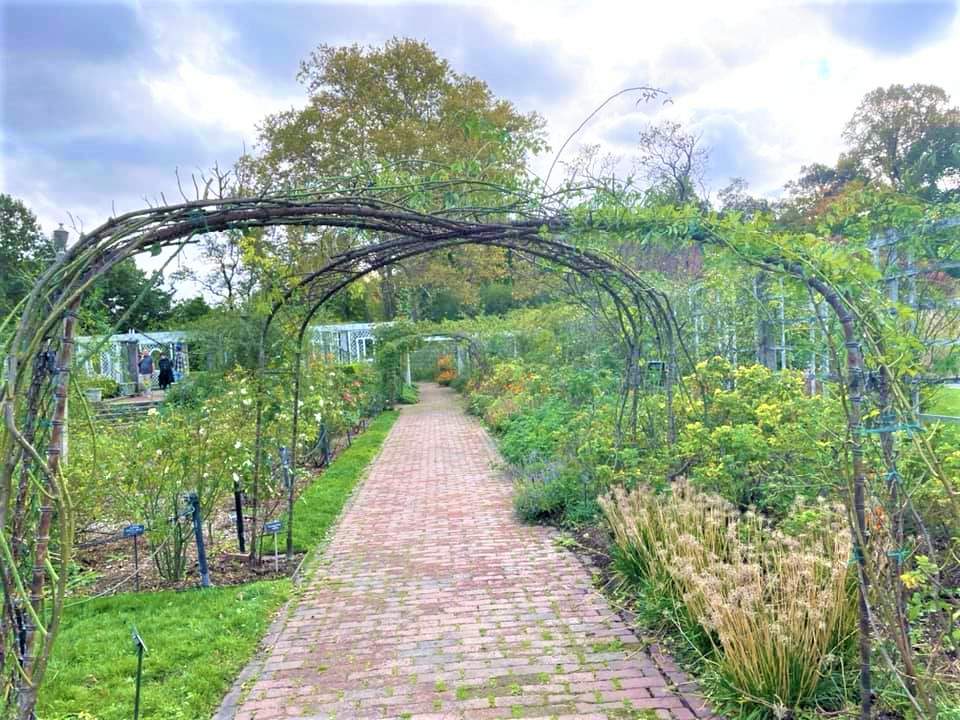 Solve Arched Arbors, Brooklyn Botanic Garden jigsaw puzzle online with ...
