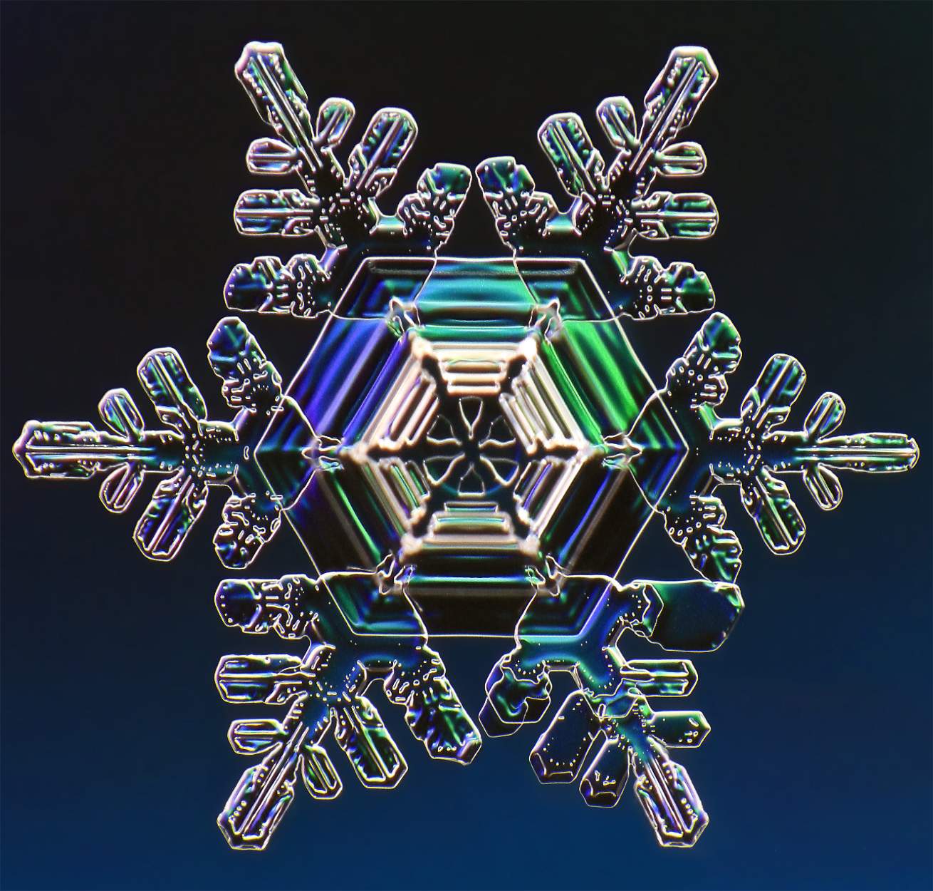 Solve Snowflake - Caleb Foster - 2019 Nikon Small World Competition ...