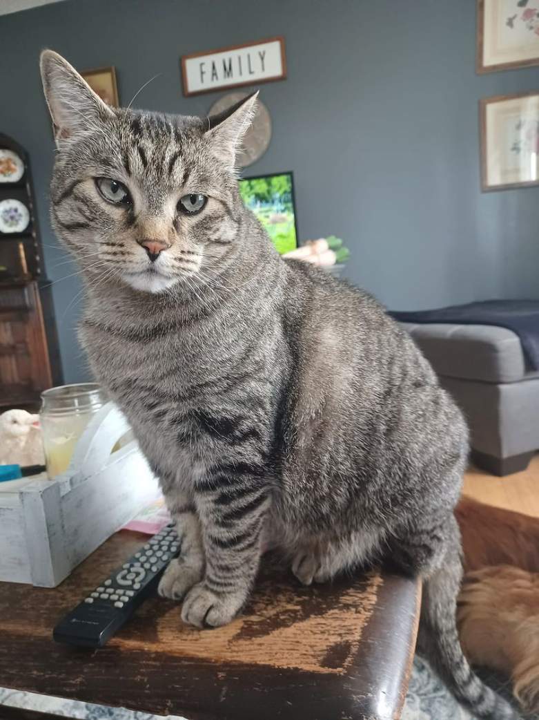 Solve It's actually very boring around here... jigsaw puzzle online ...