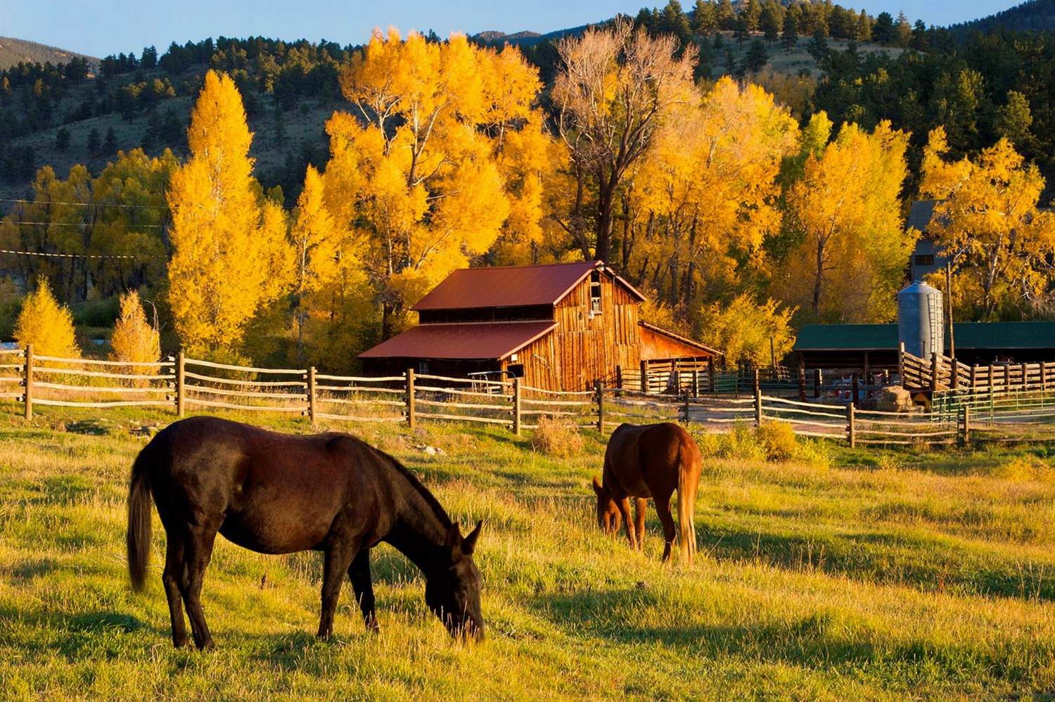 Jigsaw Puzzle | Colorado Ranch | 77 pieces | Jigidi