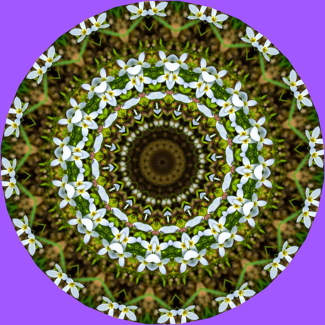 Solve #1 very small jigsaw puzzle online with 25 pieces