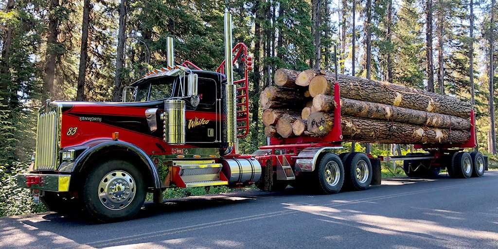 Solve Logging_01 jigsaw puzzle online with 153 pieces
