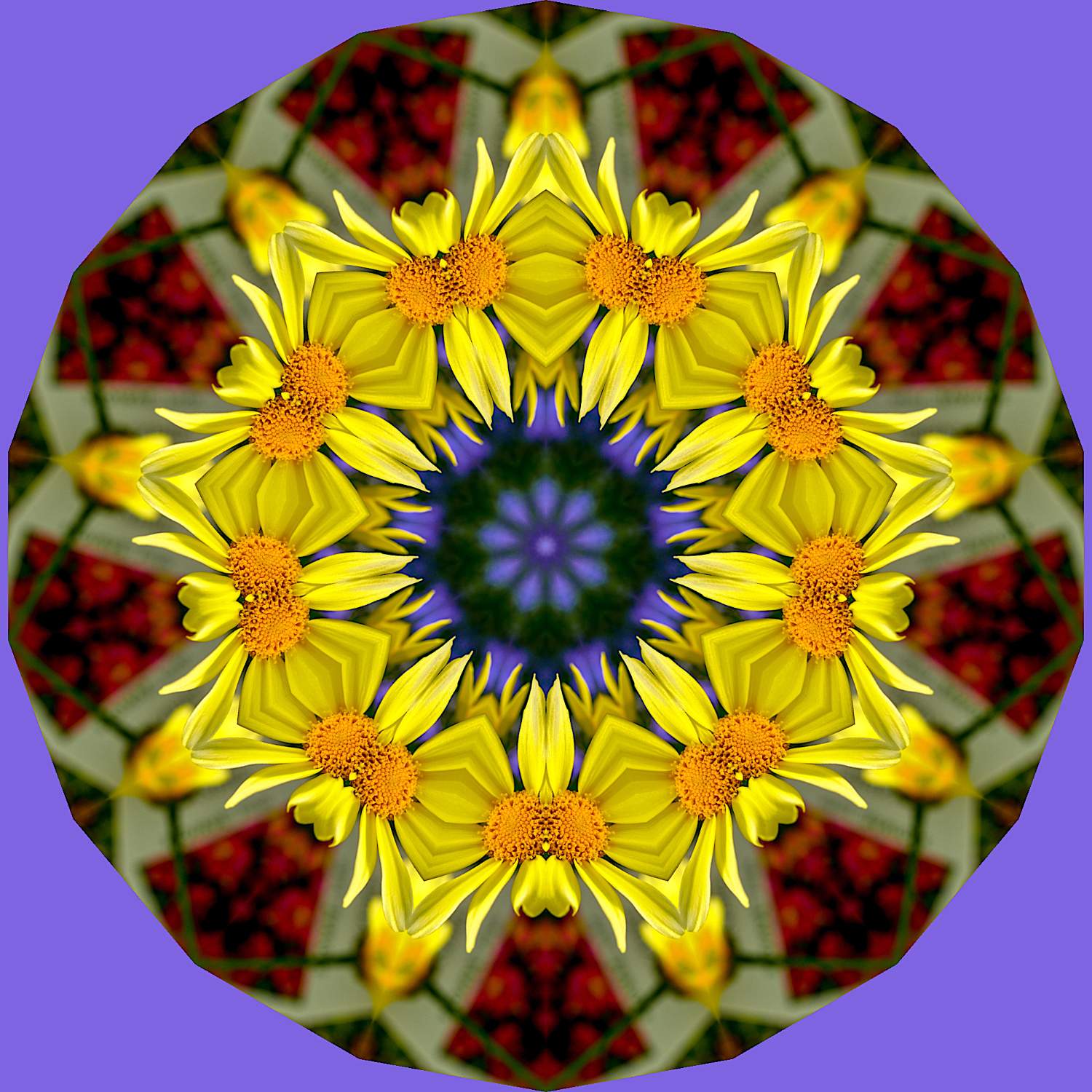 Solve #2 very large jigsaw puzzle online with 225 pieces