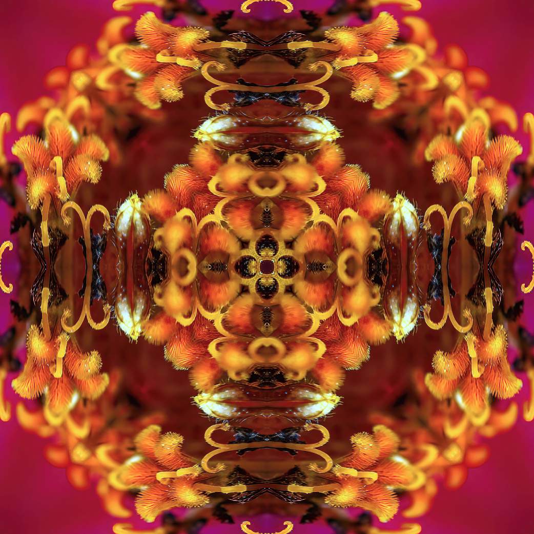 Solve #2 very small jigsaw puzzle online with 25 pieces