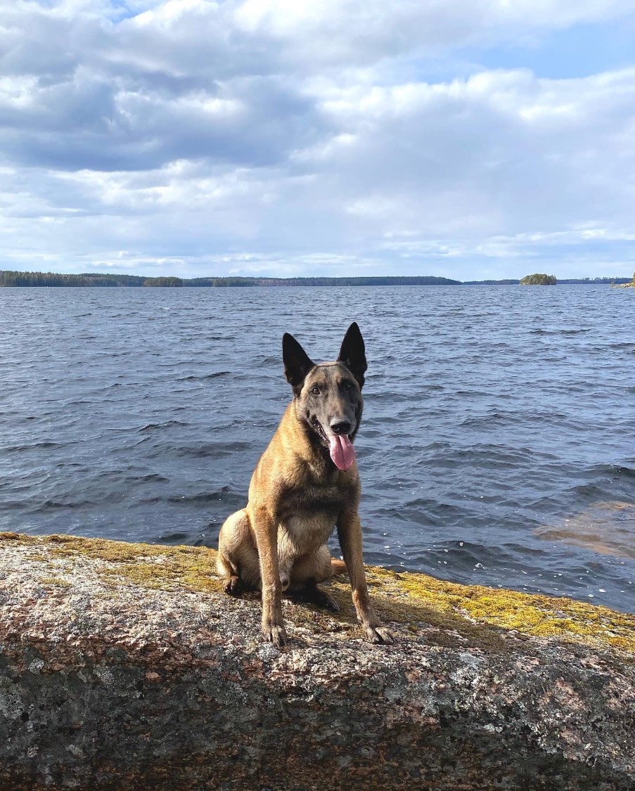 Solve Happy ️ jigsaw puzzle online with 48 pieces