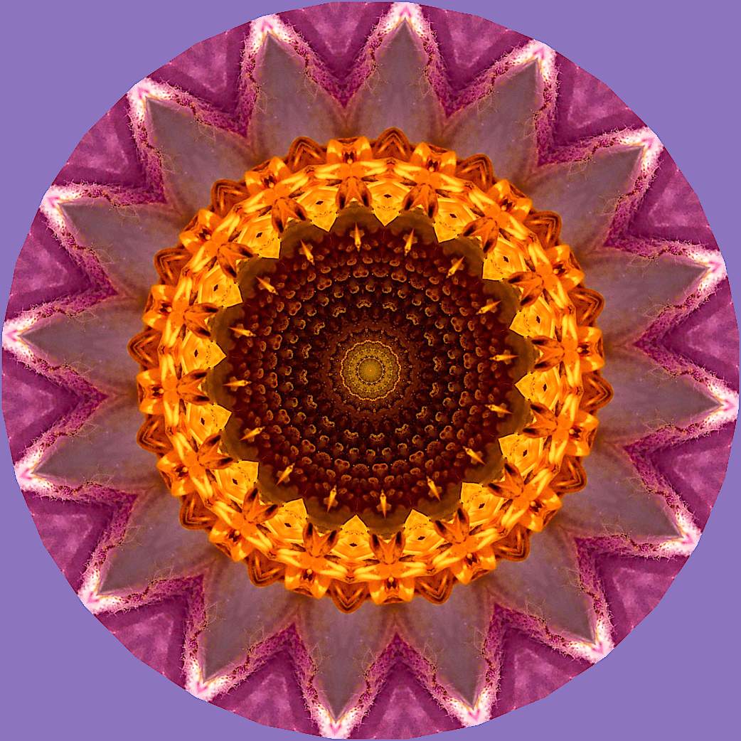 Solve #2 very small jigsaw puzzle online with 25 pieces