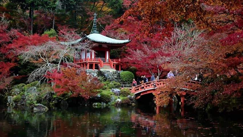 Solve Kyoto, Japan jigsaw puzzle online with 66 pieces