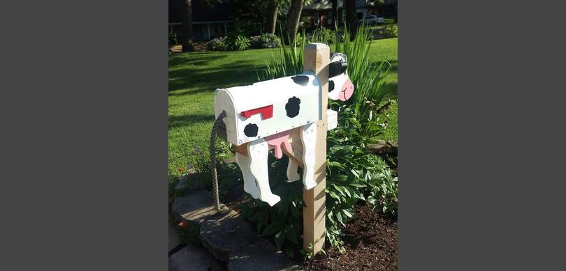 Solve Cow Mail Box jigsaw puzzle online with 36 pieces